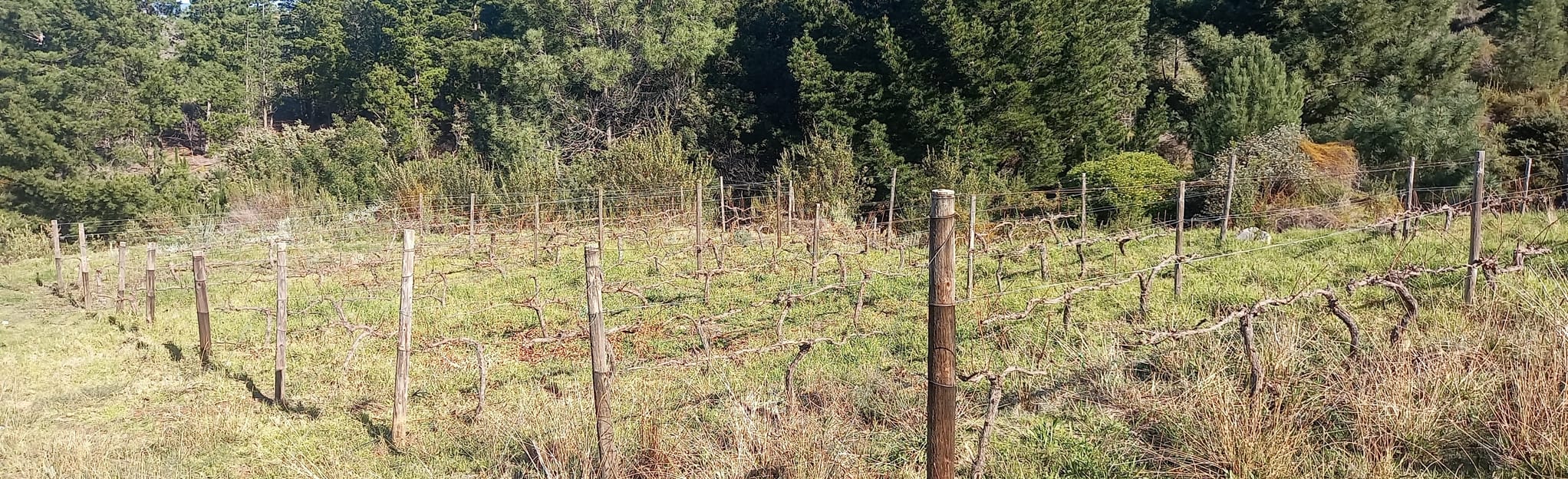 Pebble Path: 2 Reviews, Map - Western Cape, South Africa | AllTrails