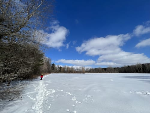 Best Hikes and Trails in Nelson Swamp Unique Area | AllTrails