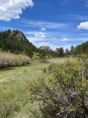 2023 Best 10 Trails and Hikes in Red Feather Lakes | AllTrails