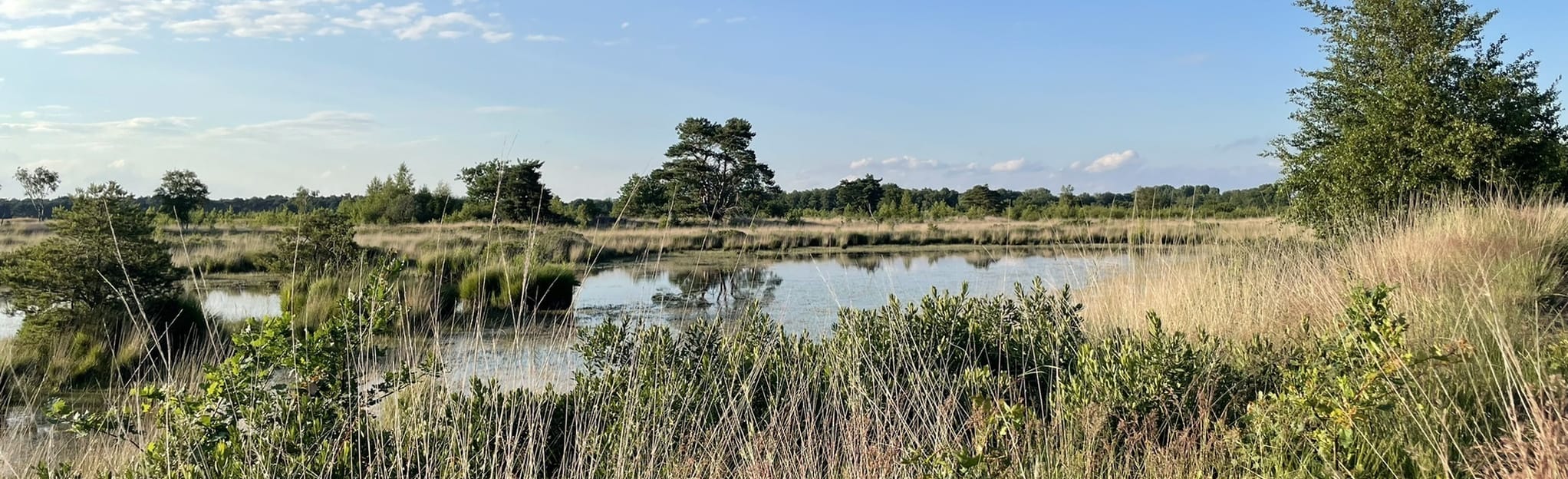 Plateau Hageven - Dommel: 13 Reviews, Map - North Brabant, Netherlands ...