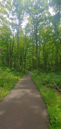 Best Hikes and Trails in Morgan Monroe State Forest | AllTrails