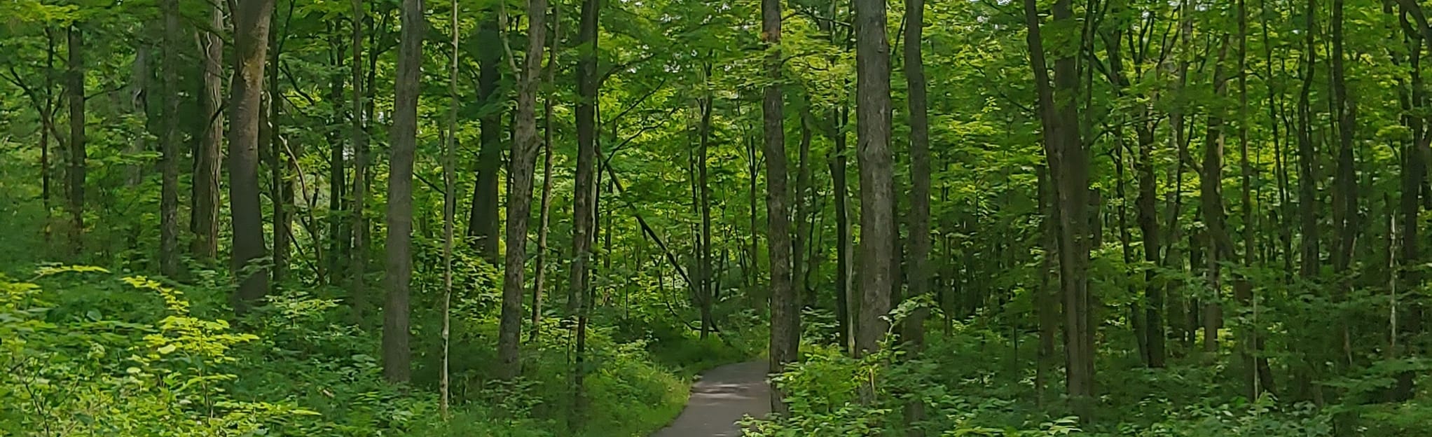 Morgan Monroe Bike Trail: East to West, Indiana - 15 Reviews, Map ...