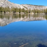 Ten Lakes Trail, California - 450 Reviews, Map | AllTrails
