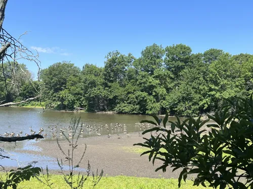 Best Hikes and Trails in Harrisonville City Park | AllTrails