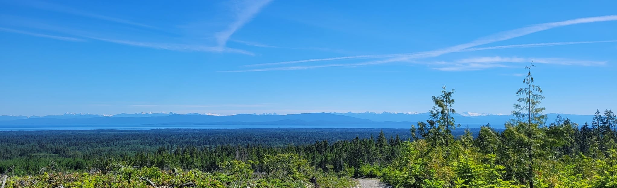 Rowbotham Lake Loop: 29 Fotos - British Columbia, Kanada | AllTrails