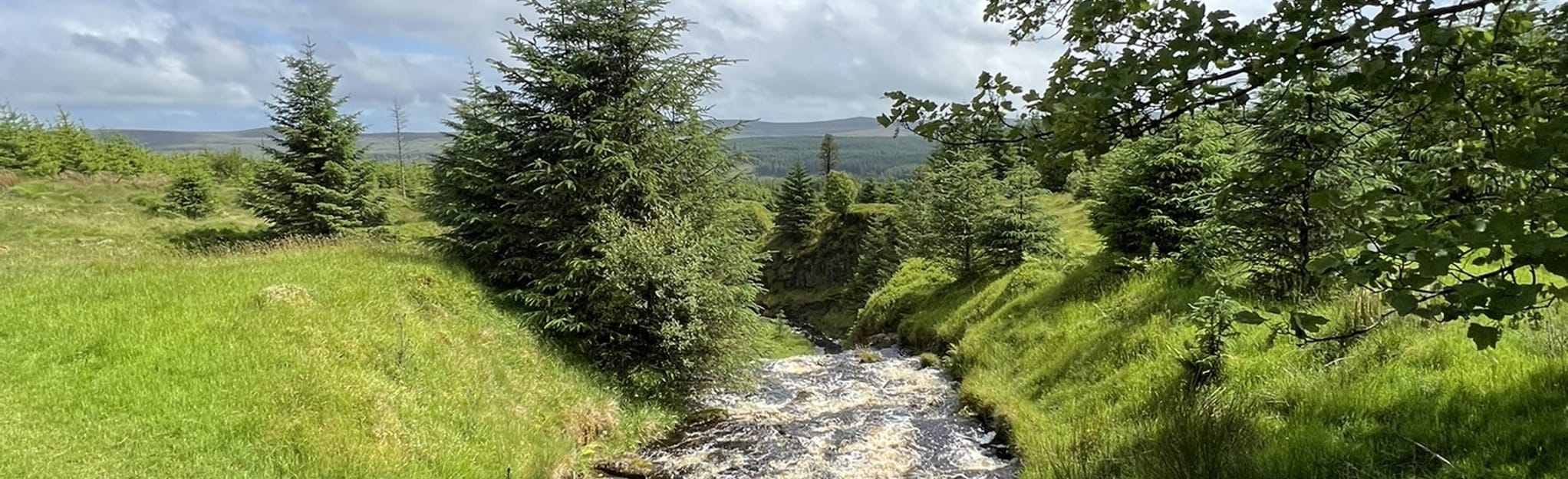 Trostan Peak: 54 Reviews, Map - Mid and East Antrim, Northern Ireland ...