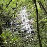 Upper Chattahoochee Campground to Horse Trough Falls, Georgia - 114 ...