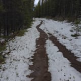 Raspberry Ridge Lookout, Alberta, Canada - 380 Reviews, Map | AllTrails