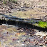 Perry Lake Hiking Trail, Kansas - 110 Reviews, Map | AllTrails