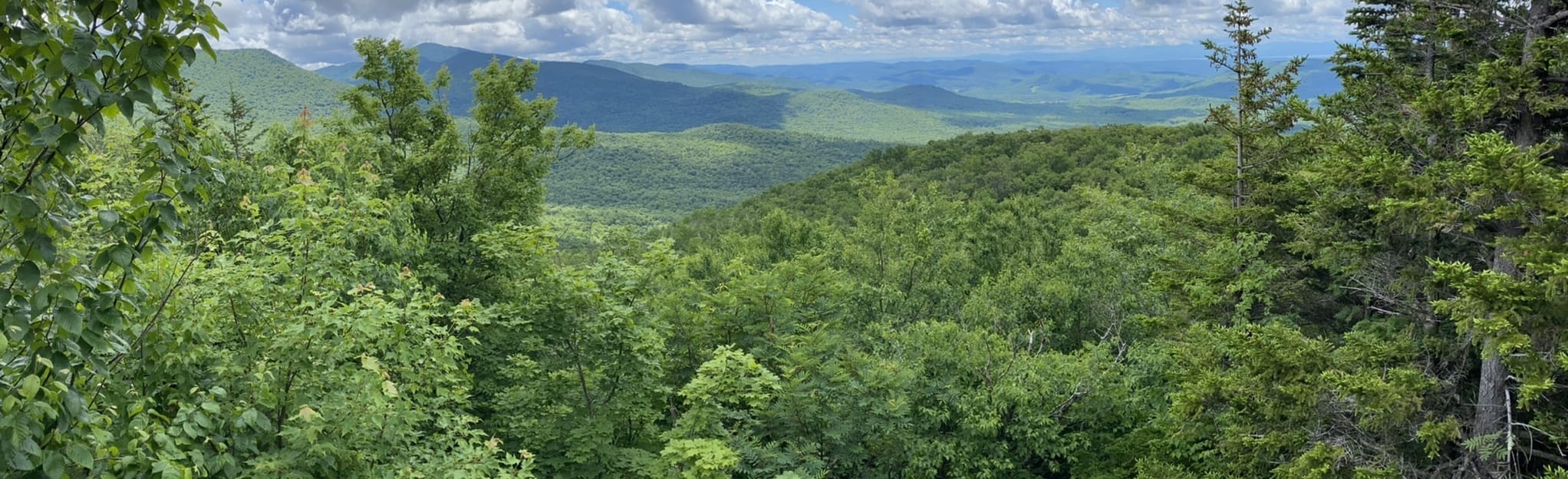 Frost Trail to Butler Lodge Trail Loop, Vermont - 271 Reviews, Map ...