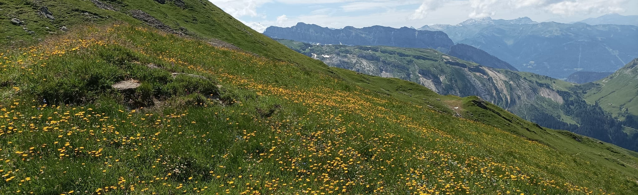 Col de Coux- Le Vanet - Col du Fornet: 13 Reviews, Map - Haute-Savoie ...