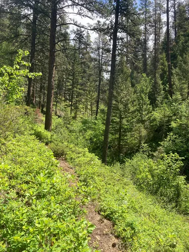 Best Views Trails in Monarch | AllTrails