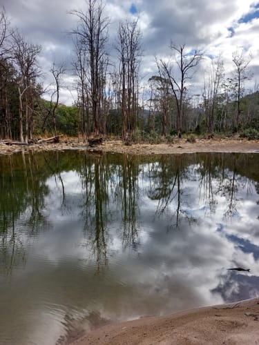 Best 10 Hikes and Trails in Nattai National Park | AllTrails