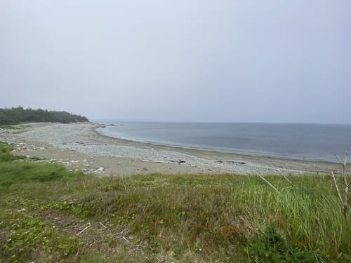 2023 Best Trails in Gabarus | AllTrails