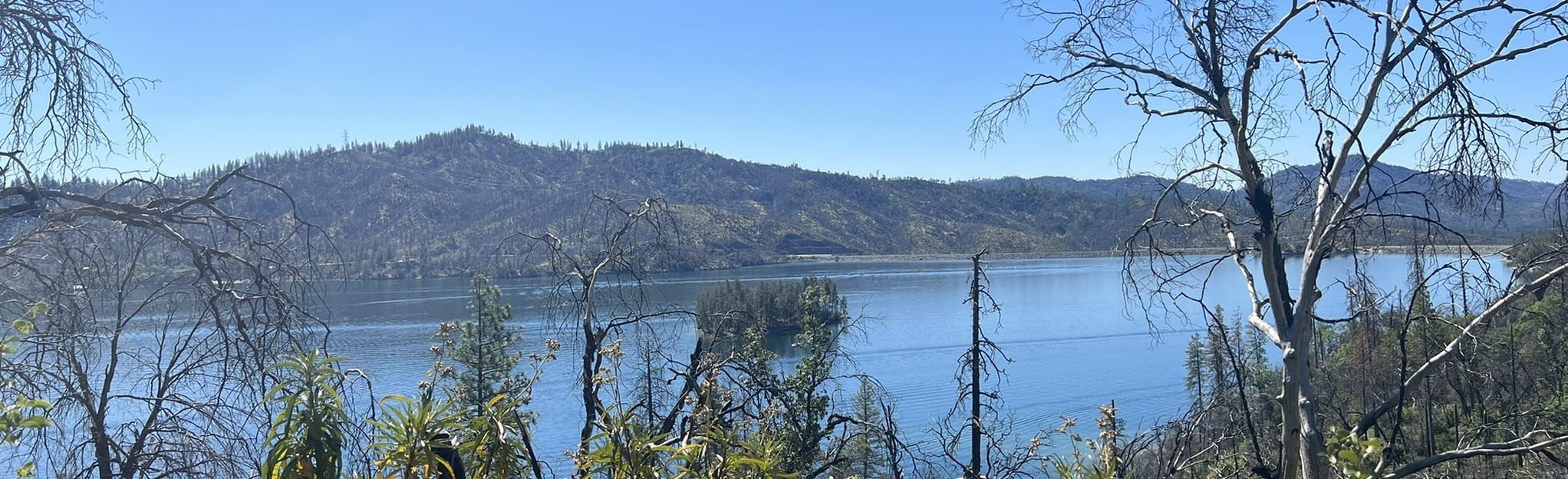 Davis Gulch Trail from Brandy Creek Beach: 27 Reviews, Map - California ...