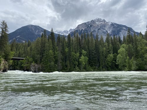 Best 10 Hikes and Trails in Mount Robson Provincial Park | AllTrails