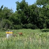 Flint Hills Nature Trail, Kansas - 249 Reviews, Map | AllTrails