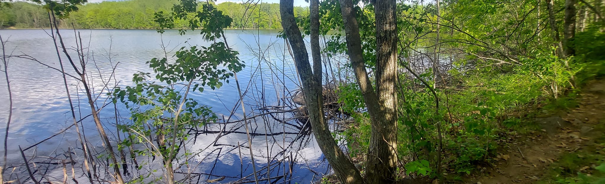 Hansen Lake Trail: 126 Reviews, Map - Wisconsin | AllTrails