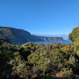 Shipsterns Bluff Loop, Tasmania, Australia - 81 Reviews, Map | AllTrails