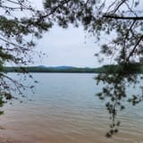 Lake Blue Ridge Campground Trail , Georgia - 469 Reviews, Map | AllTrails