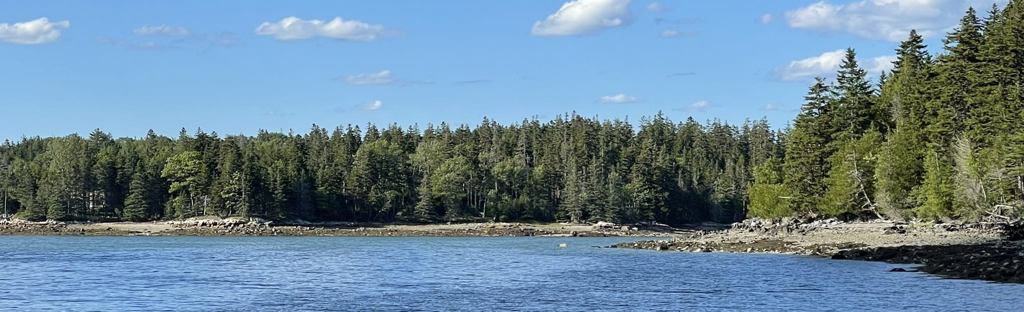 Pretty Marsh Trail: 109 Reviews, Map - Maine | AllTrails