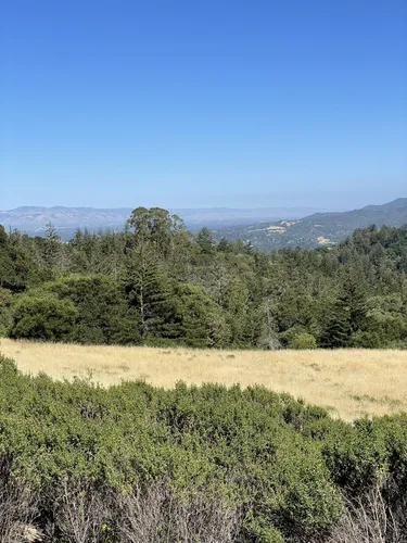 10 Best Hikes and Trails in Wunderlich County Park | AllTrails