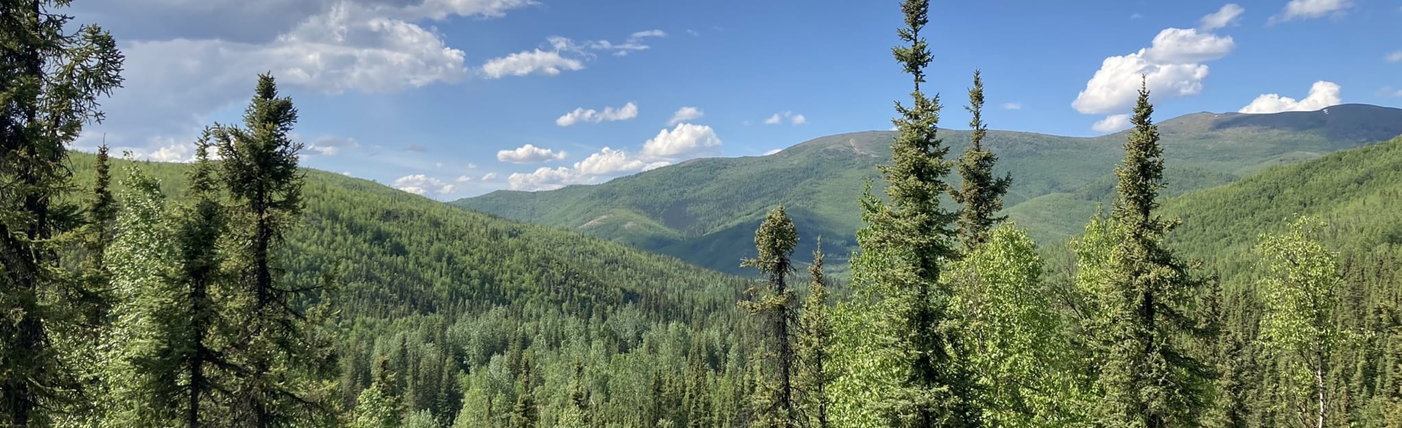 Far Mountain Traverse, Alaska - 5 Reviews, Map | AllTrails