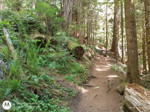 10 Best Trails and Hikes in Longmire | AllTrails