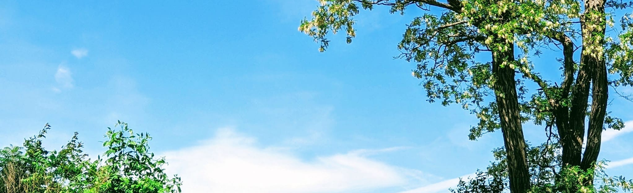 Wendt Beach Shoreline Trail, New York - 25 Reviews, Map | AllTrails