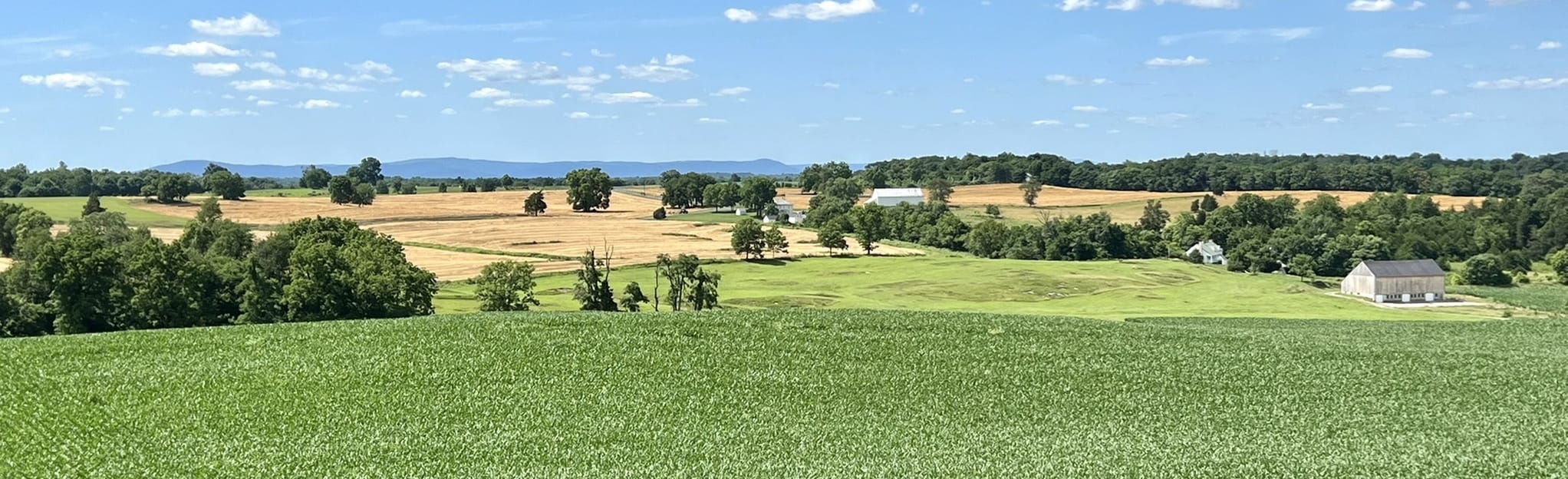 Bloody Lane Observation Tower and Antietam Educational Trail: 46 ...