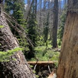 Red Lake Trail, Colorado - 169 Reviews, Map | AllTrails
