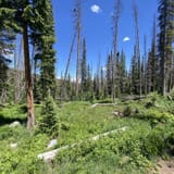 Red Lake Trail, Colorado - 169 Reviews, Map | AllTrails