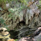 Gorman Falls and Gorman Springs, Texas - 223 Reviews, Map | AllTrails