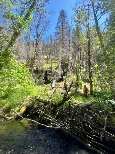 Best Waterfall Trails in Carson | AllTrails