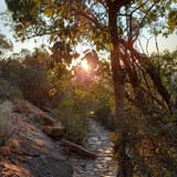 Wonderboom Hiking Trail, Gauteng, South Africa - 124 Reviews, Map ...