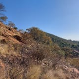 Wonderboom Hiking Trail, Gauteng, South Africa - 124 Reviews, Map ...