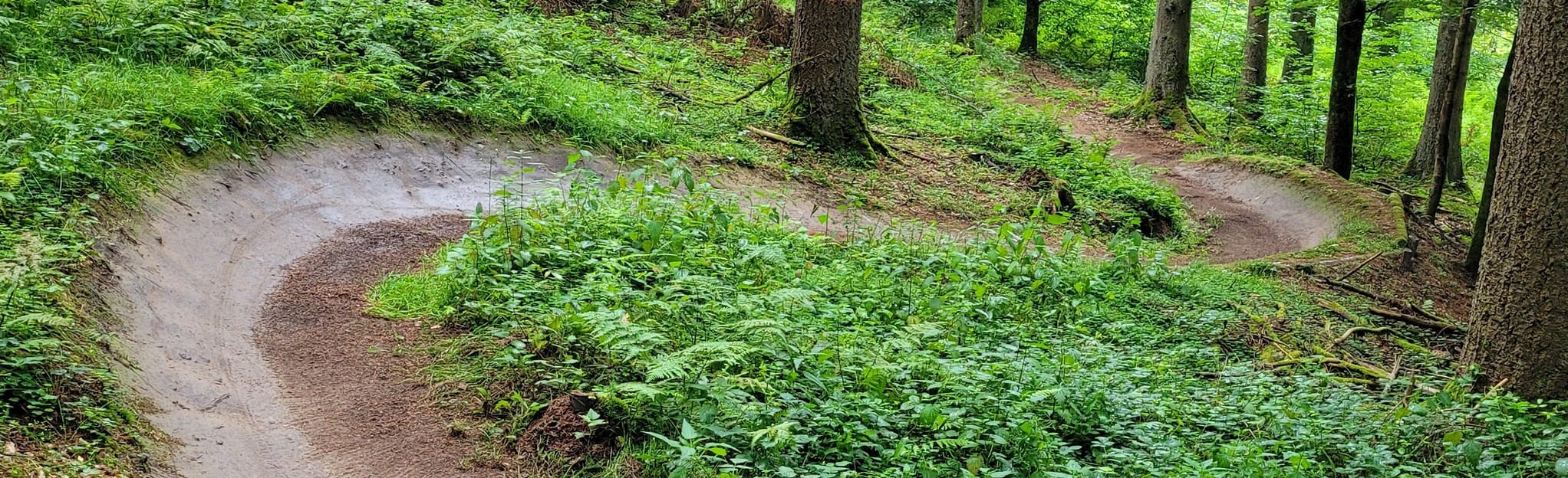 Flowtrail Bad Orb: Haseltal Trail, Hesse, Germany - Map, Guide | AllTrails