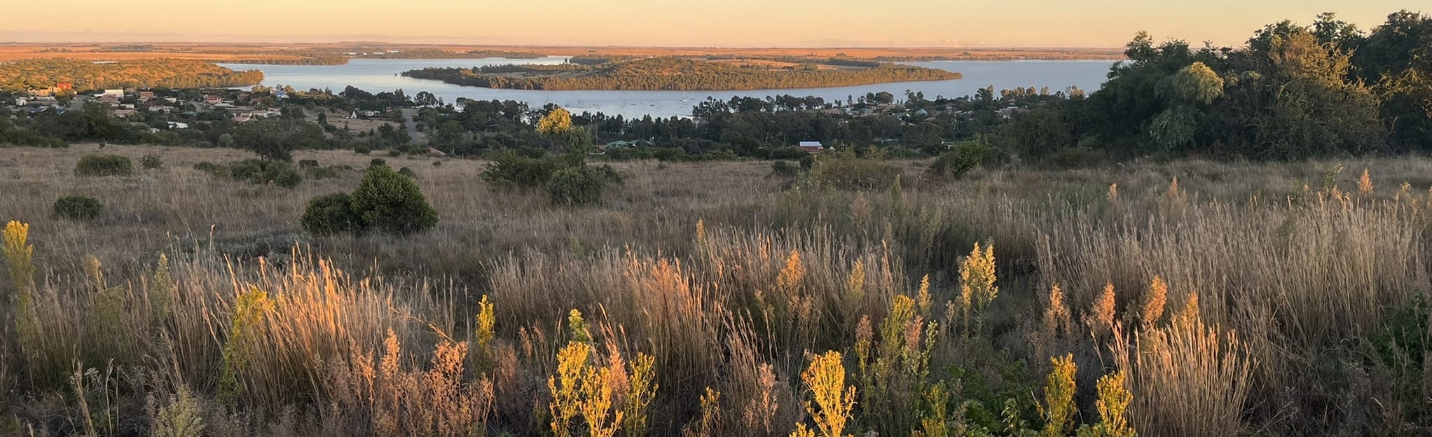 Vaalmarina Hike, Gauteng, South Africa - Map, Guide | AllTrails