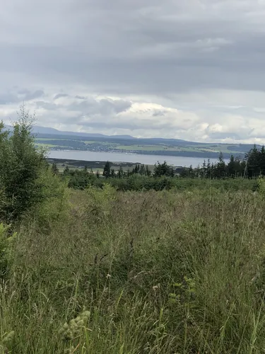 10 Best Kid Friendly Trails in Inverness | AllTrails