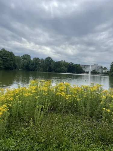 10 Best Trails and Hikes in Cologne | AllTrails