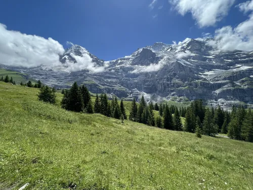 10 Best Trails and Hikes in Wengen | AllTrails