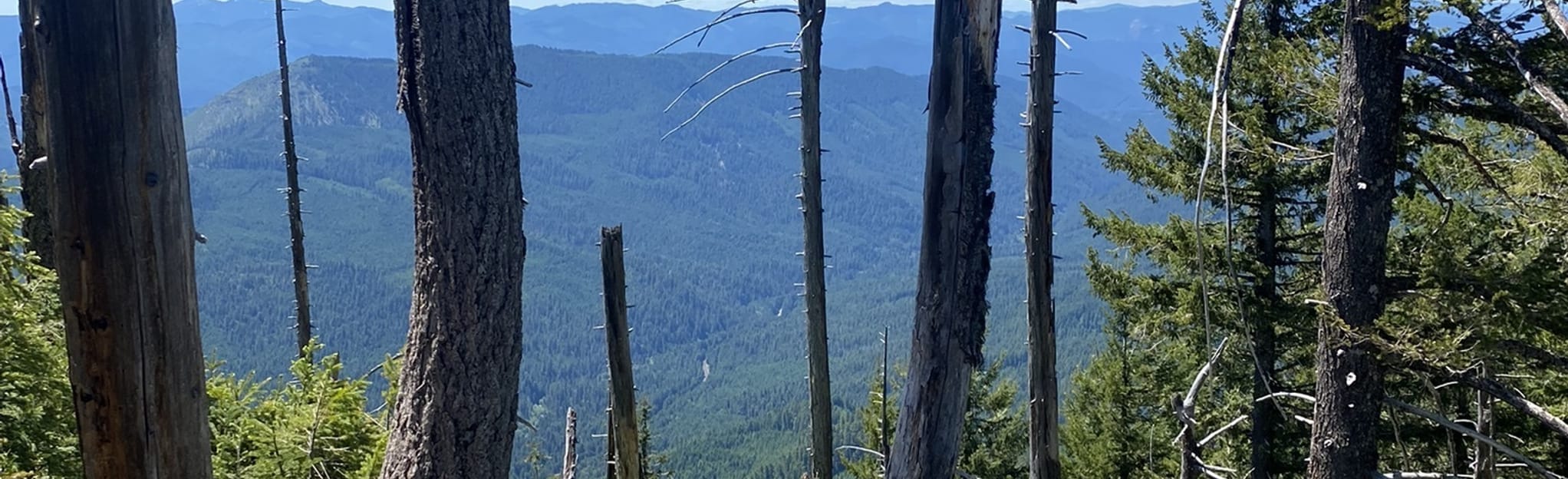 Bunchgrass Ridge West Approach, Oregon - 10 Reviews, Map | AllTrails