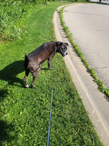 Best Hikes and Trails in Lippold Park | AllTrails