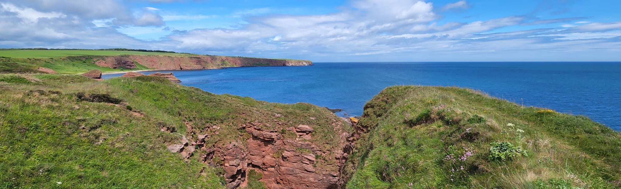 Arbroath Cliffs, Angus, Scotland - 77 Reviews, Map | AllTrails
