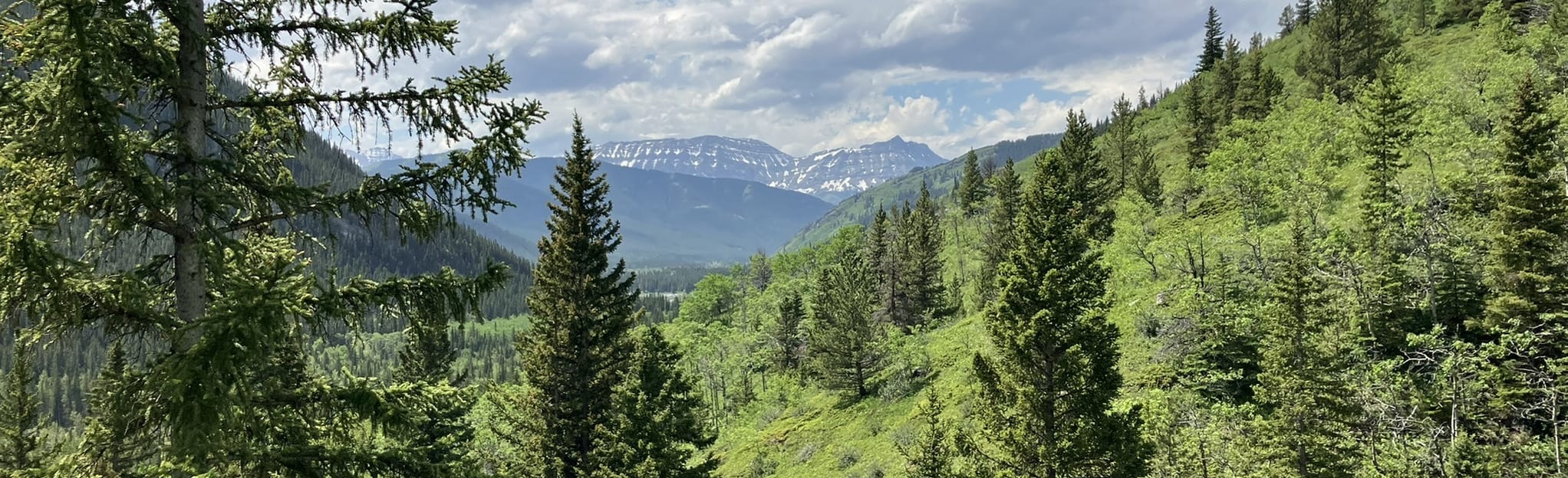 Holy Cross Mountain - Alberta, Canada | AllTrails