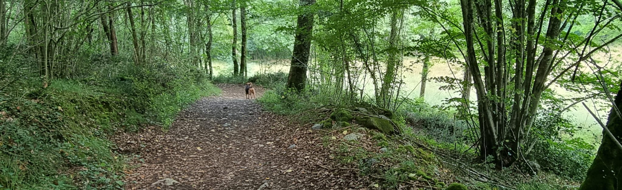 Cier-de-Rivière, Haute-Garonne, France - 10 Reviews, Map | AllTrails