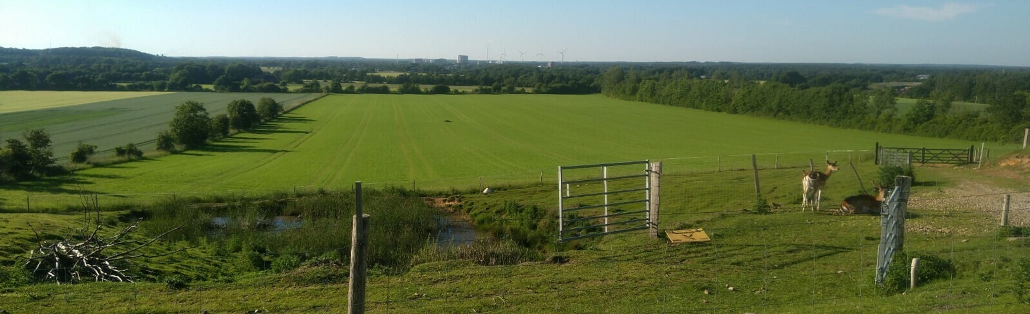 Brande - Store Langkær, Central Denmark, Denmark - 6 Reviews, Map ...