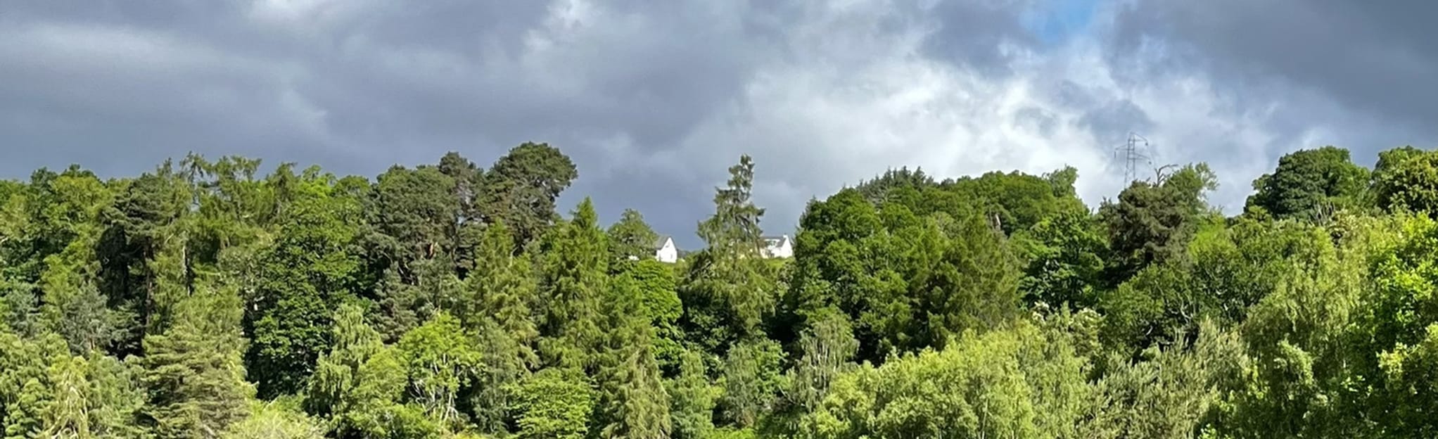 Beauly Quarry Wood, Highlands, Scotland - 7 Reviews, Map | AllTrails