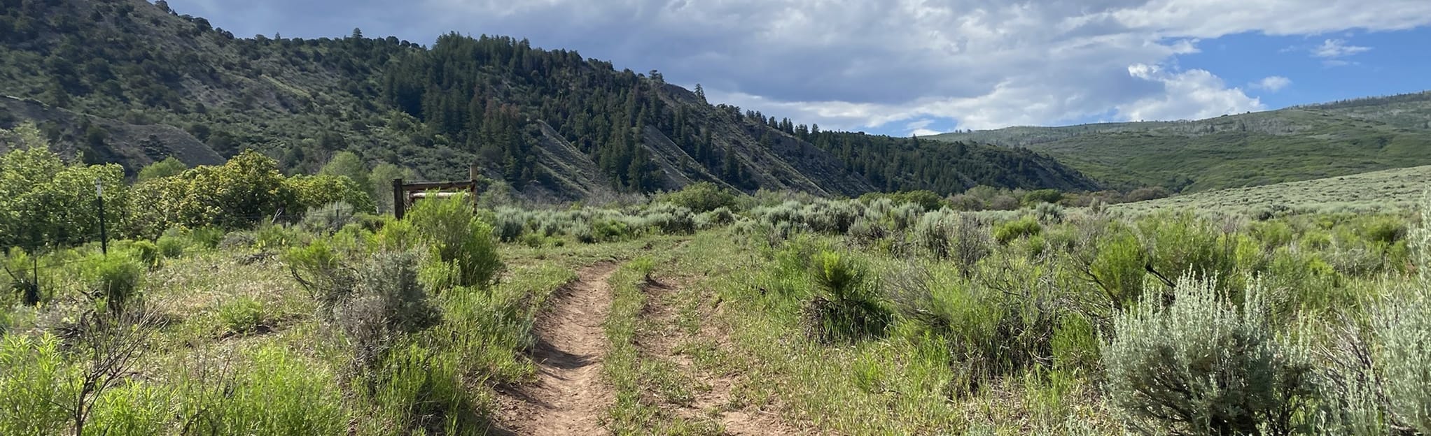 Third Gulch Trail: 63 Reviews, Map - Colorado | AllTrails