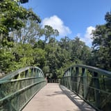 Graham Swamp Trail, Florida - 307 Reviews, Map | AllTrails